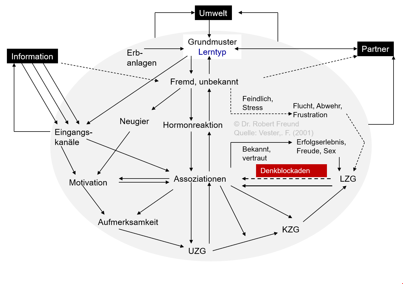 Das Netzwerk vom Lernen | Dr. Robert Freund